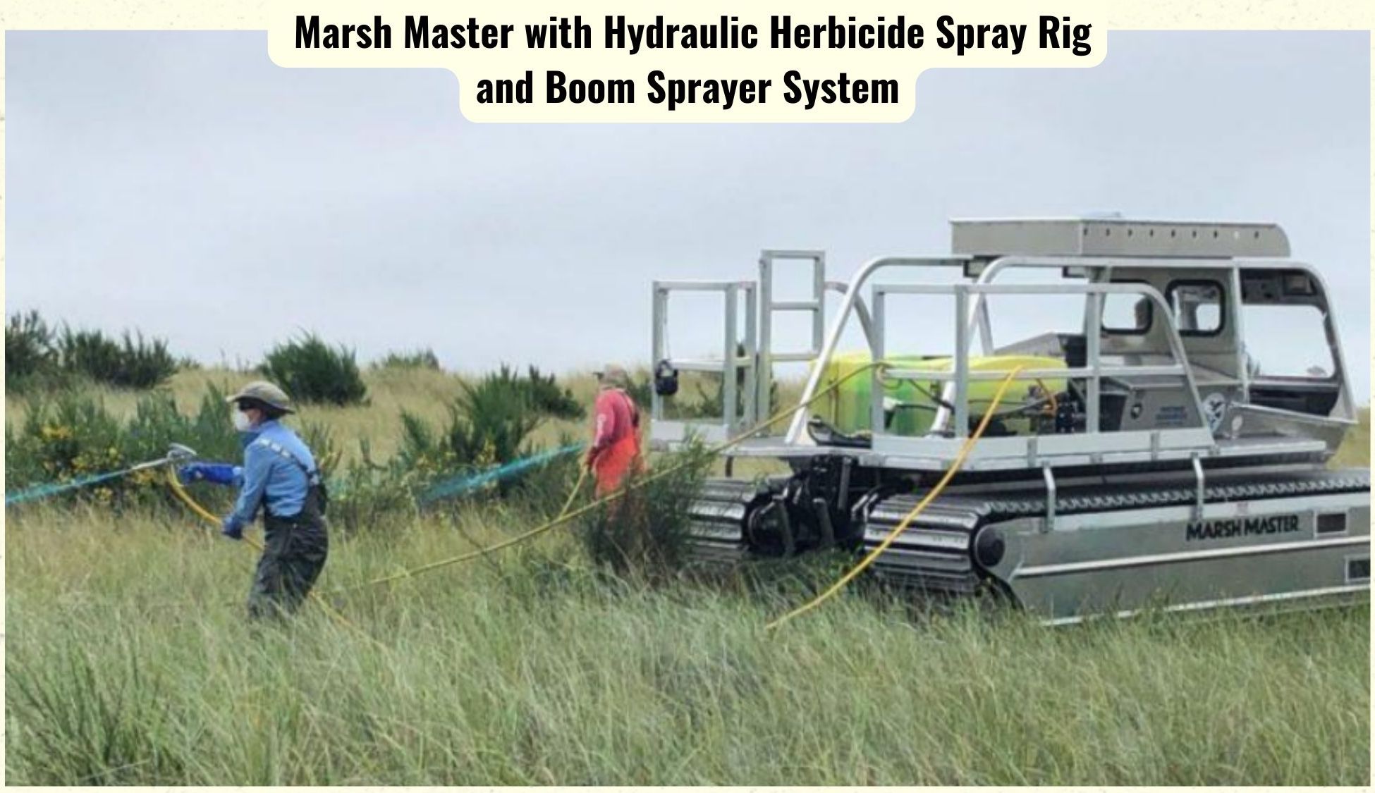 Invasive Species in Focus: Impacts, Solutions, and Restoration ...