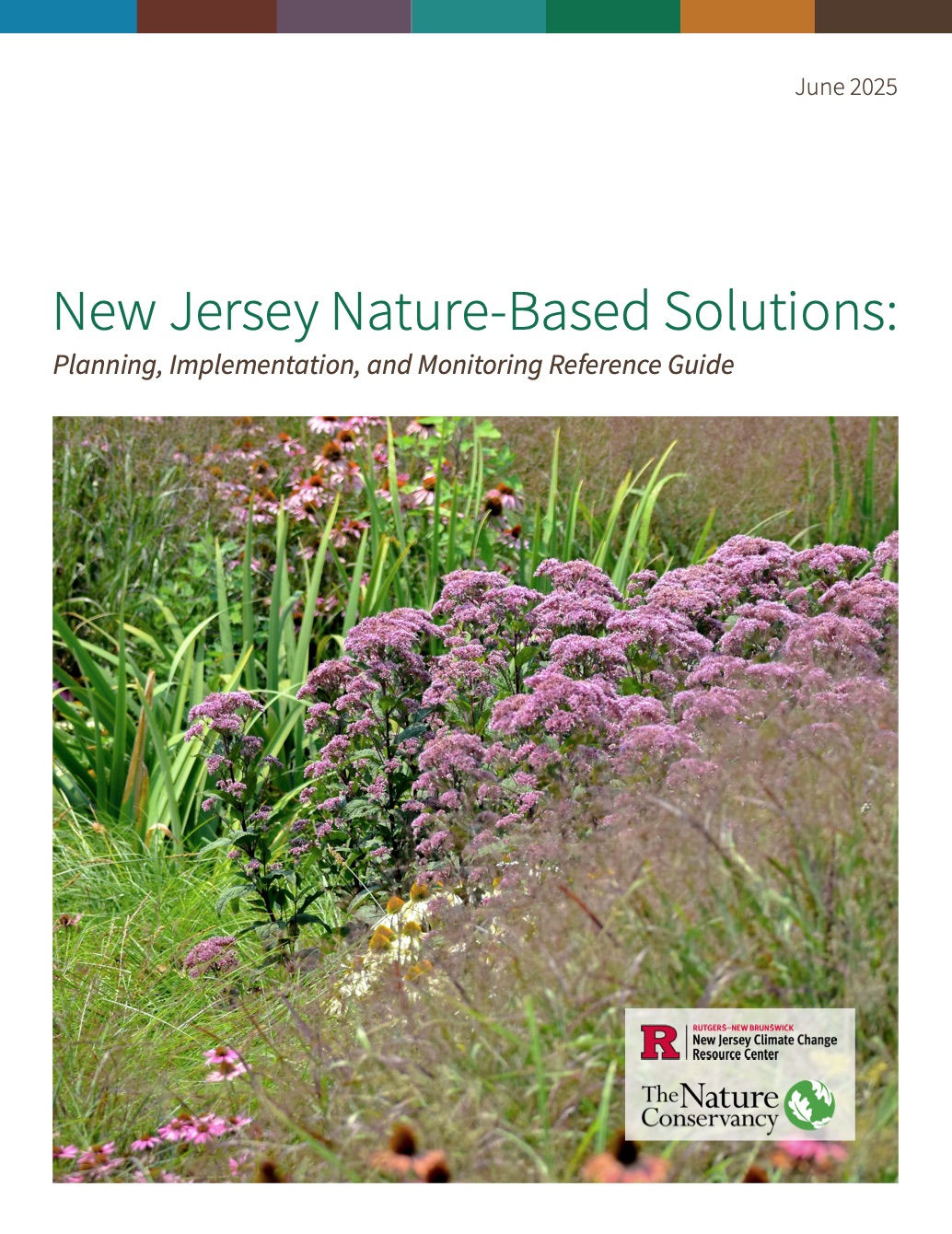 New Resource: A Comprehensive Guide to Nature-Based Solutions in New ...