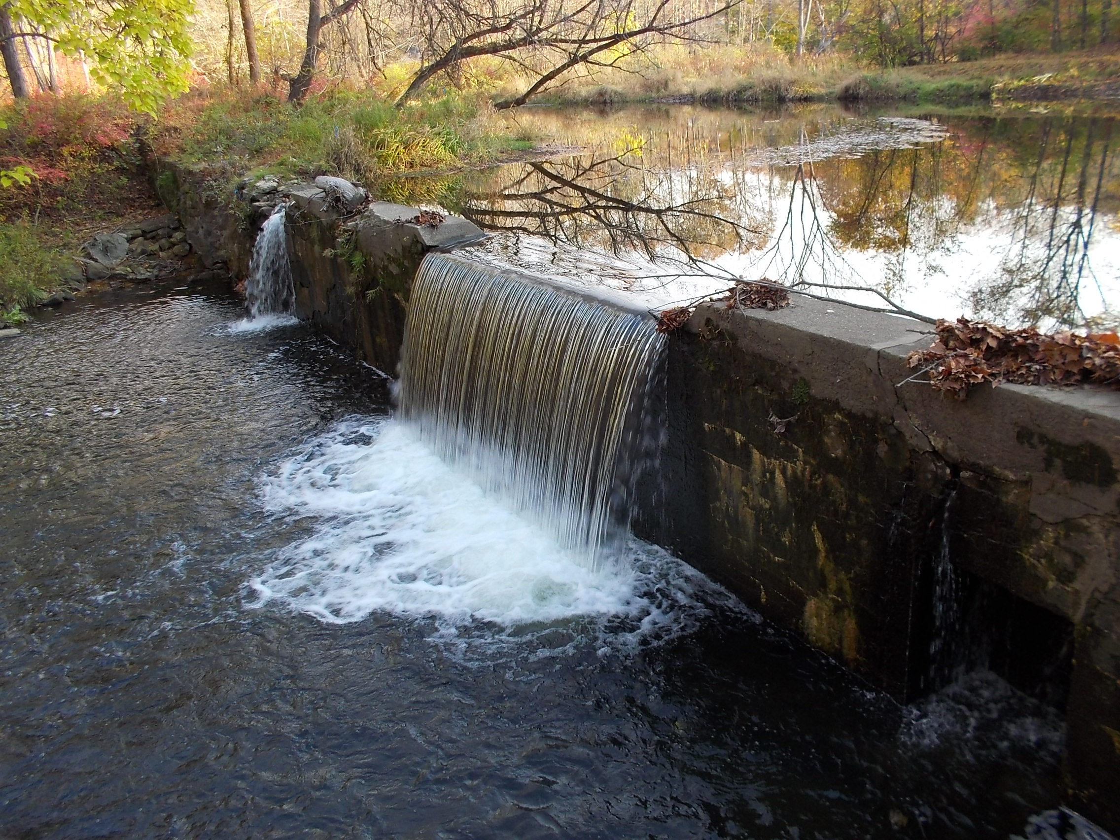 Papermill Pond Dam Removal and River Restoration Project - PRINCETON HYDRO