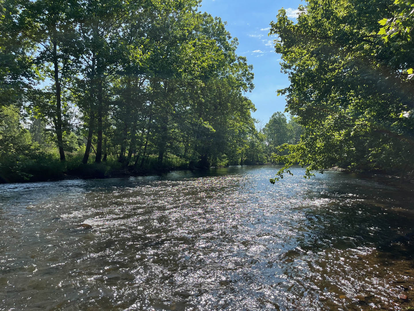 Sidney Brook Watershed Protection Plan - PRINCETON HYDRO
